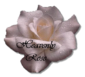 Heavenly Rose